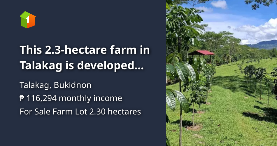 This 2.3-hectare farm in Talakag is developed and ready for you to ...