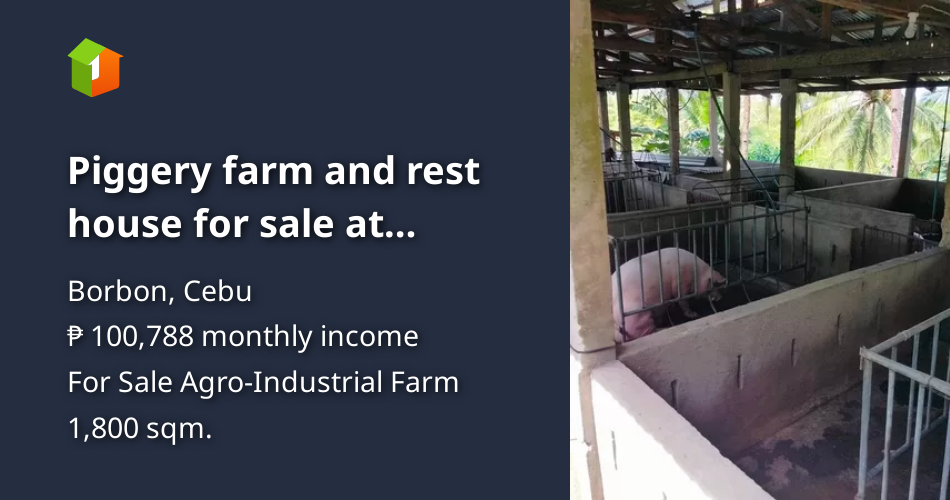 Piggery farm and rest house for sale at Borbon Cebu [Lots 🚜] (January ...