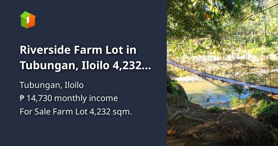 Riverside Farm Lot in Tubungan, Iloilo 4,232 sqm [Lots 🚜] (April 2026 ...
