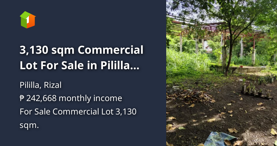 3,130 sqm Commercial Lot For Sale in Pililla Rizal [Lots 🚜] (September ...