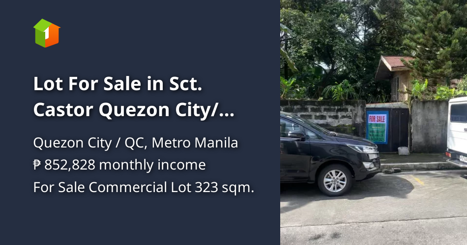 Lot For Sale in Sct. Castor Quezon City/ Ideal for Apartment [Lots 🚜 ...