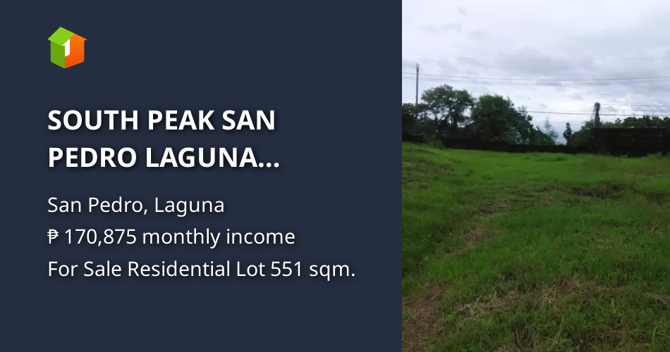 SOUTH PEAK SAN PEDRO LAGUNA VACANT LOT FOR SALE [Lots 🚜] (July 2025) in ...
