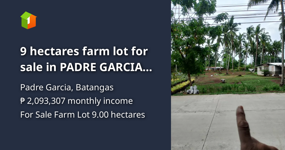 9 hectares farm lot for sale in PADRE GARCIA BATANGAS 1,500/sqm titled ...