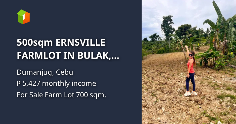500sqm ERNSVILLE FARMLOT IN BULAK, Dumanjug [Lots 🚜] (May 2024) in ...