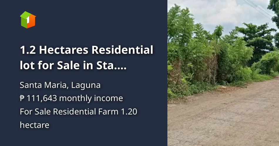 1.2 Hectares Residential lot for Sale in Sta. Maria, Laguna [Lots 🚜 ...