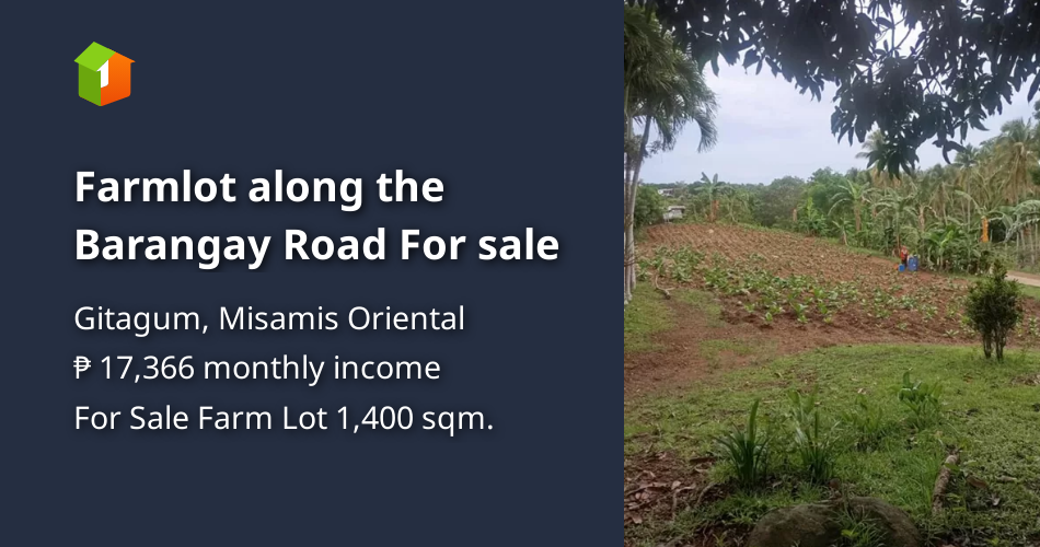 Farmlot along the Barangay Road For sale [Lots 🚜] (January 2026) in ...