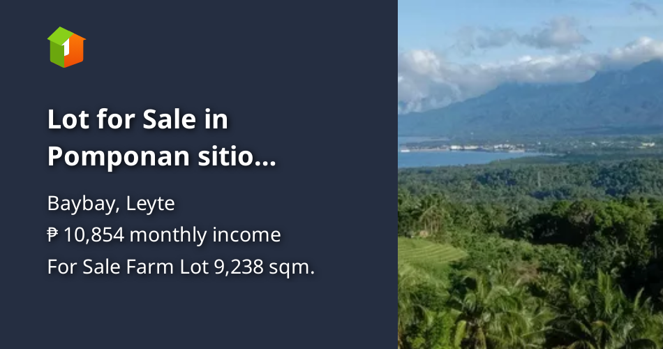 Lot for Sale in Pomponan sitio bagayag Baybay Leyte [Lots 🚜] (August ...