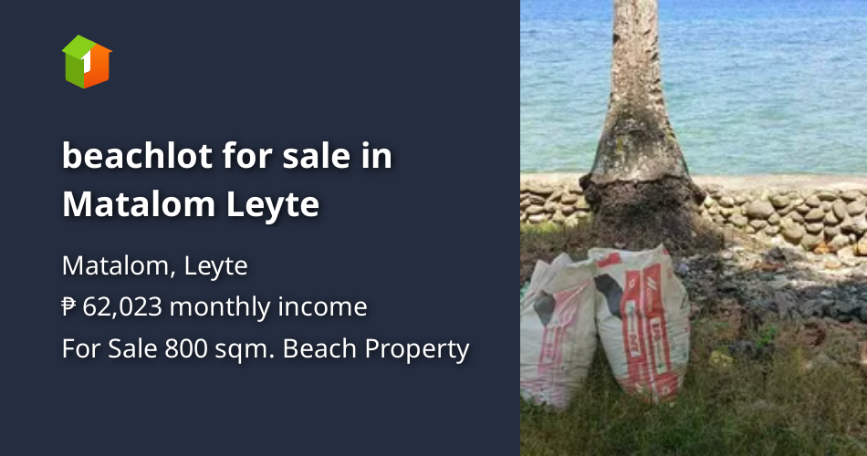 Beachlot for sale in Matalom Leyte [Beach Properties 🏖️] (September ...