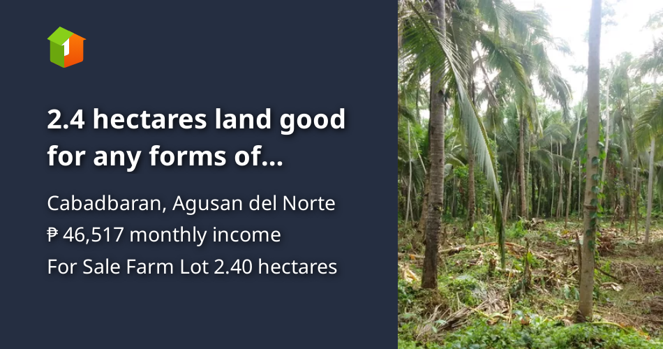 2.4 hectares land good for any forms of Agricultural Farm and business ...