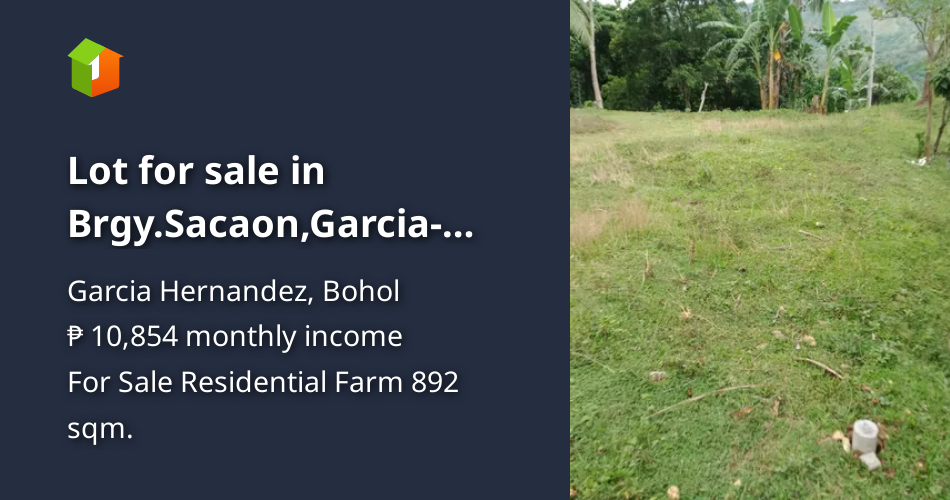 Lot for sale in Brgy.Sacaon,Garcia-Hernandez,Bohol,Philippines [Lots 🚜 ...