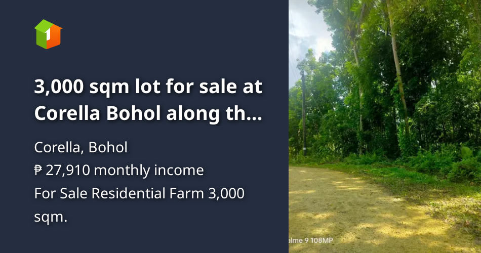 3,000 sqm lot for sale at Corella Bohol along the road at 600/sqm [Lots ...