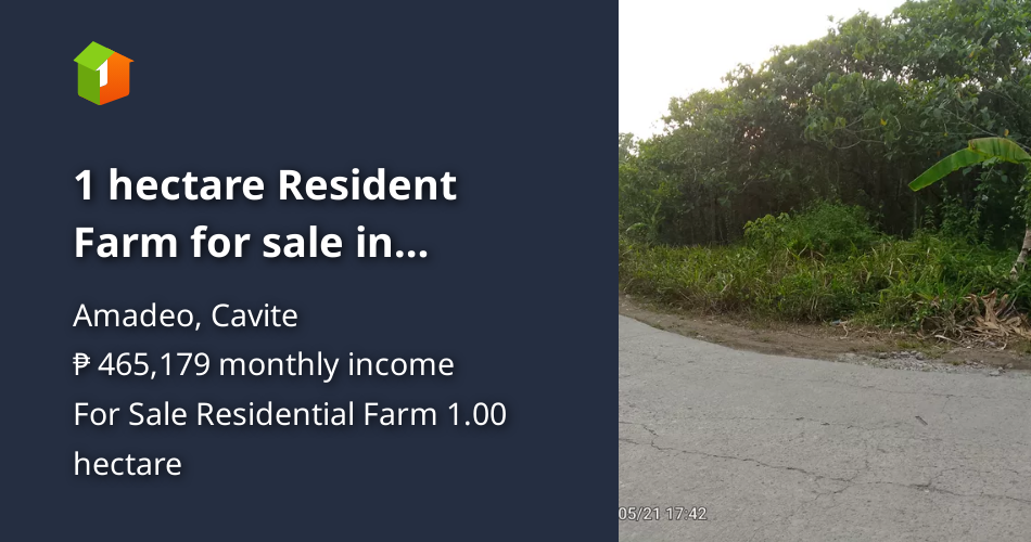 1 hectare Resident Farm for sale in Amadeo Cavite [Lots 🚜] (July 2024 ...