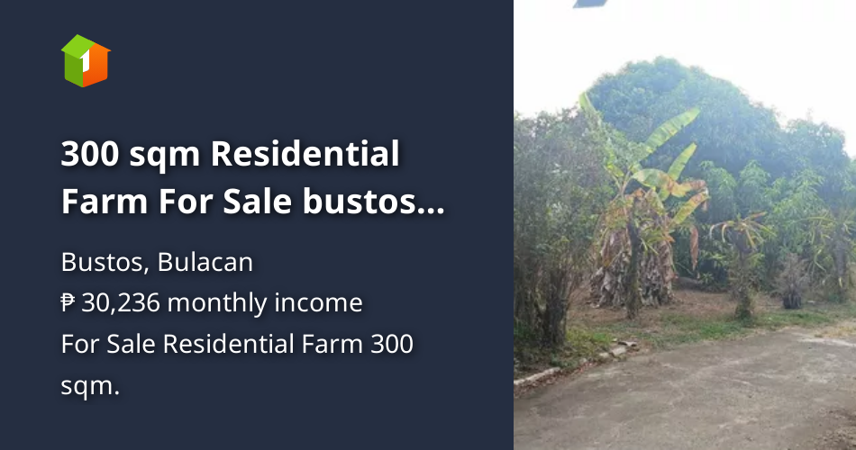 300 sqm Residential Farm For Sale bustos bulacan [Lots 🚜] (November ...