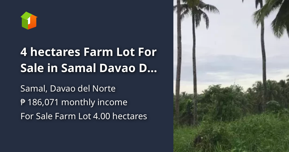 4 hectares Farm Lot For Sale in Samal Davao Del Norte Costing Only 3.5M ...