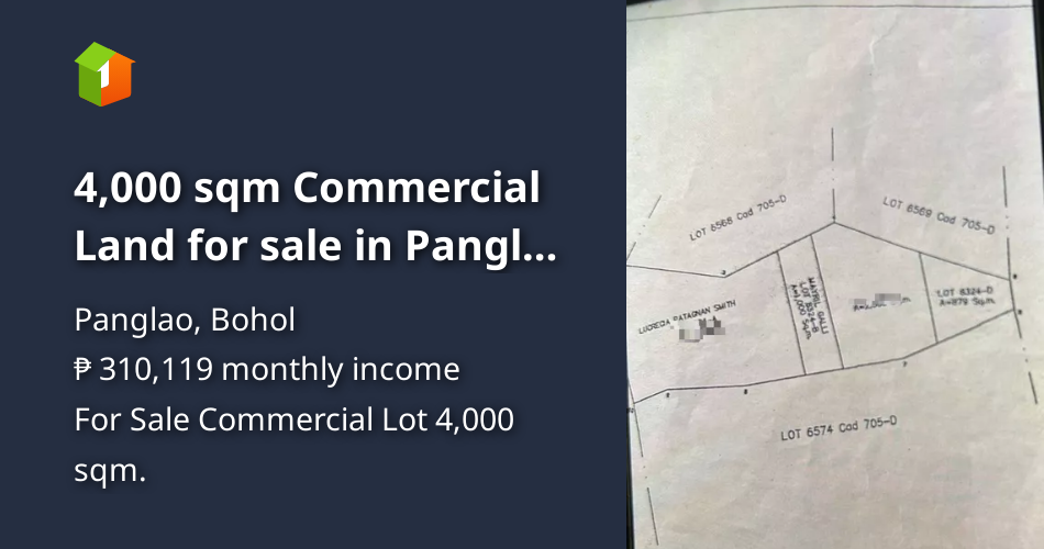 4,000 sqm Commercial Land for sale in Panglao Bohol [Lots 🚜] (April ...