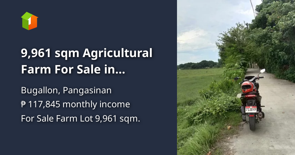 9,961 sqm Agricultural Farm For Sale in Bugallon Pangasinan [Lots 🚜 ...
