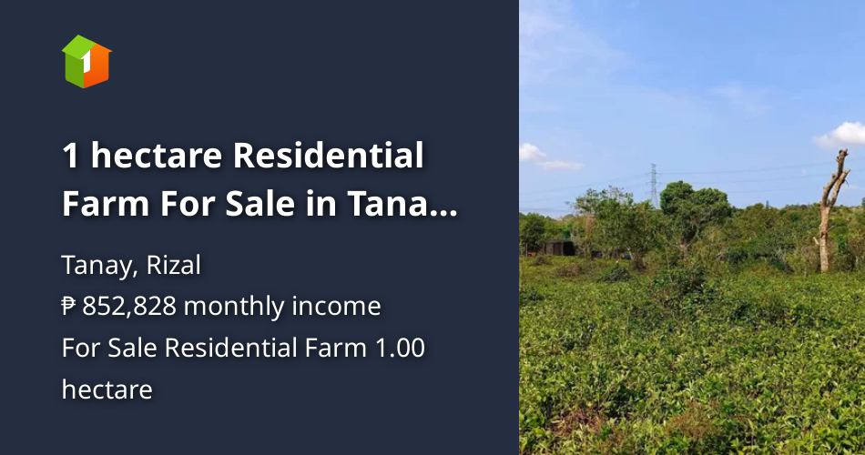 1 hectare Residential Farm For Sale in Tanay Rizal [Lots 🚜] (September ...