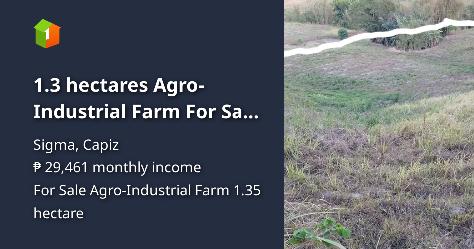 1.3 hectares Agro-Industrial Farm For Sale in Sigma Capiz. Negotiable [Lots 🚜] (May 2024) in ...