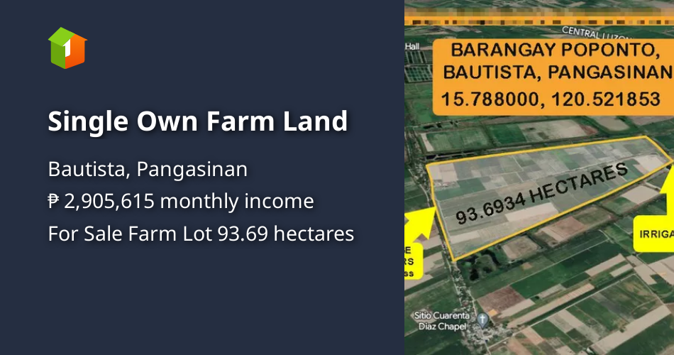 Single Own Farm Land [Lots 🚜] (August 2025) in Bautista, Pangasinan for ...