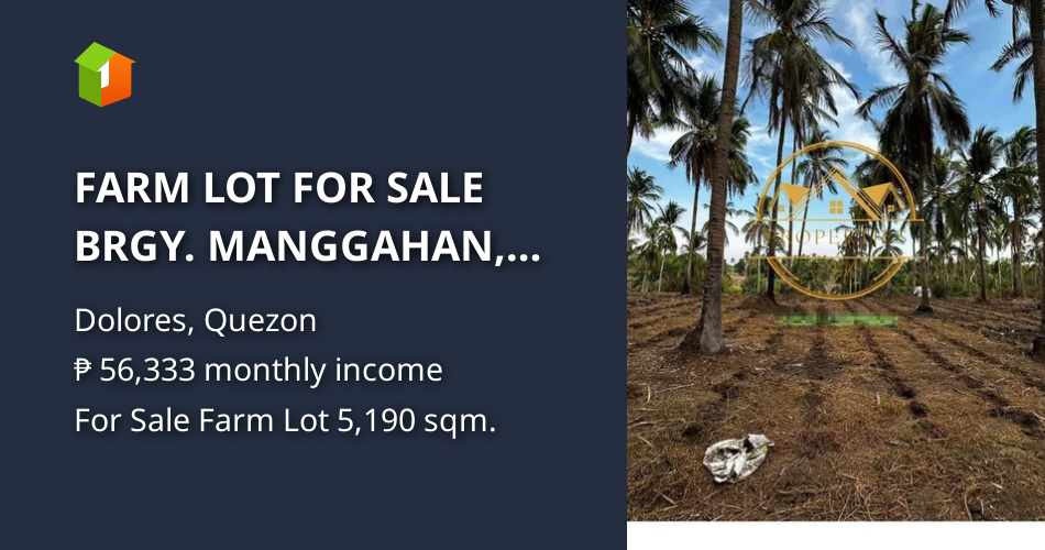 FARM LOT FOR SALE BRGY. MANGGAHAN, DOLORES, QUEZON [Lots 🚜] (March 2025 ...