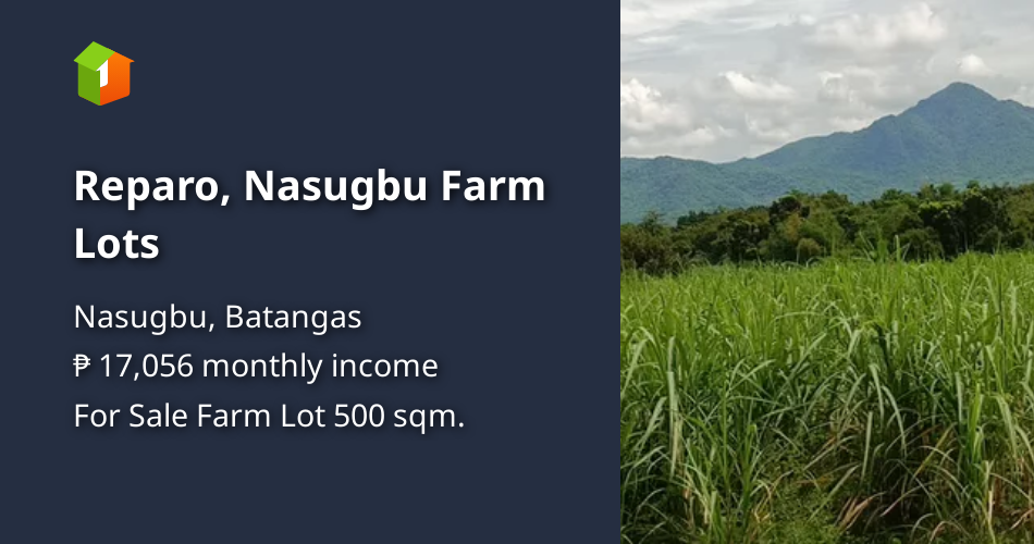 Reparo, Nasugbu Farm Lots [Lots 🚜] (November 2023) in Nasugbu, Batangas ...