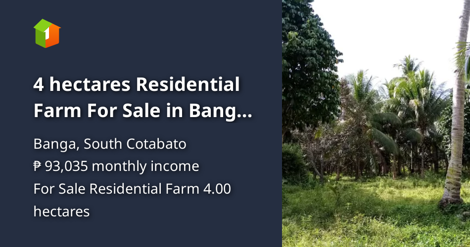 4 hectares Residential Farm For Sale in Banga South Cotabato [Lots 🚜 ...