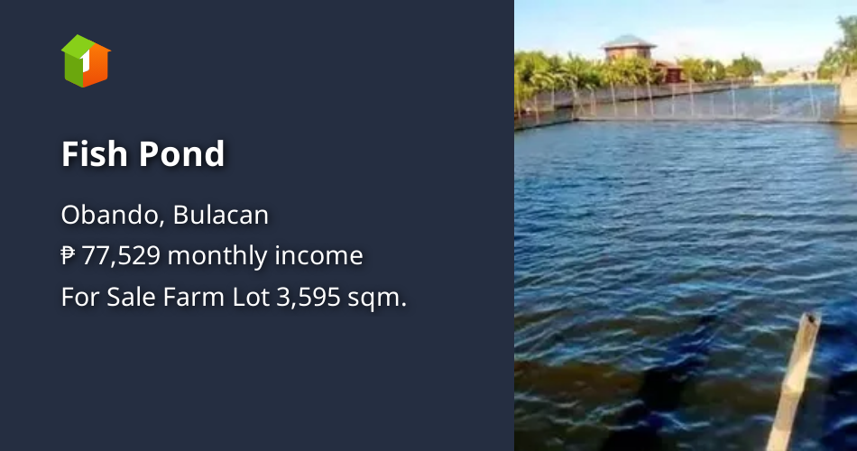 Fish Pond [Lots 🚜] (December 2023) in Obando, Bulacan for sale