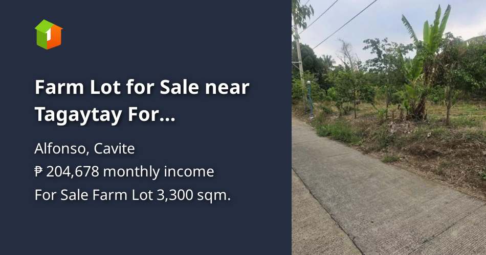 Farm Lot for Sale near Tagaytay For Farm,Resort,Venue, Residential Farm, Restaurant Alfonso ...