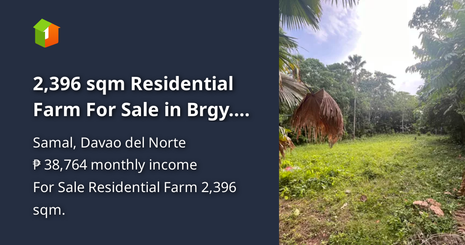 2,396 sqm Residential Farm For Sale in Brgy. Camudmud Babak District ...