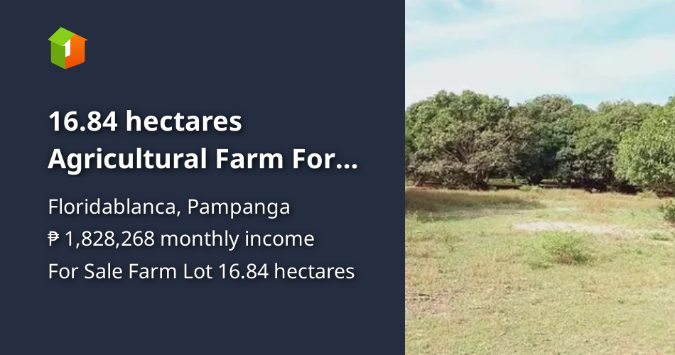 16.84 hectares Agricultural Farm For Sale in Floridablanca Pampanga ...