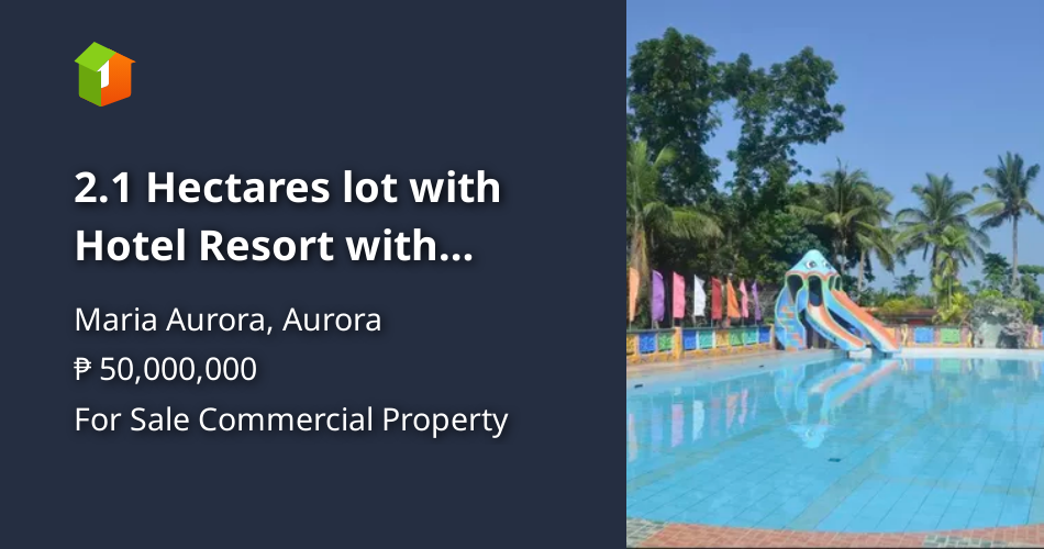 2.1 Hectares lot with Hotel Resort with Partial of Rice Field ...