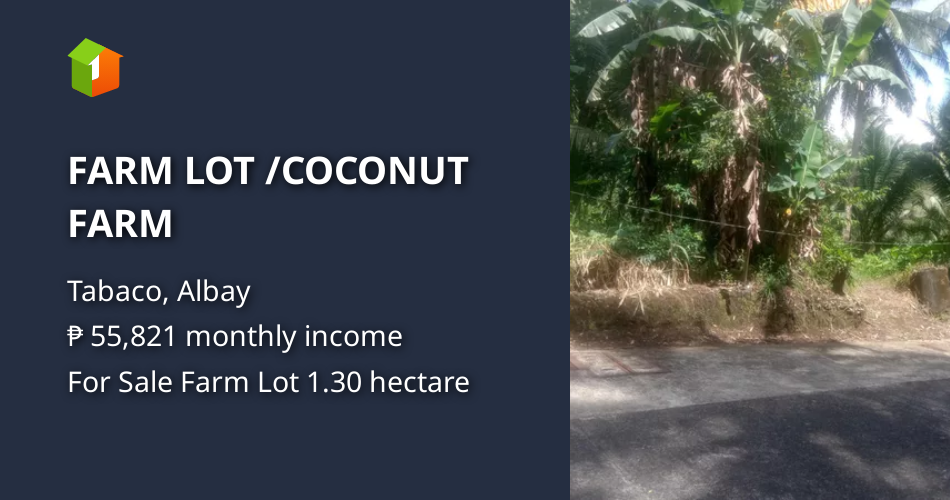 FARM LOT /COCONUT FARM [Lots 🚜] (November 2024) in Tabaco, Albay for sale
