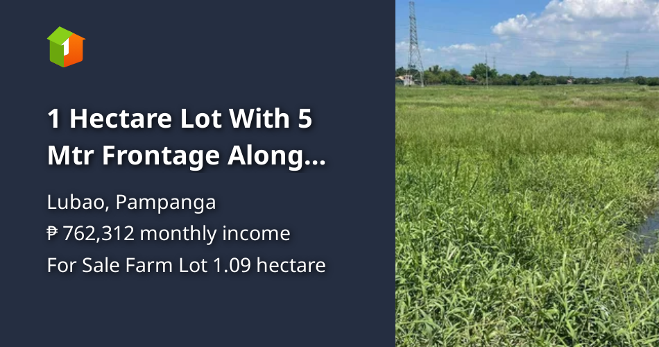 1 Hectare Lot With 5 Mtr Frontage Along Hiway Sto Tomas Lubao Pampanga ...