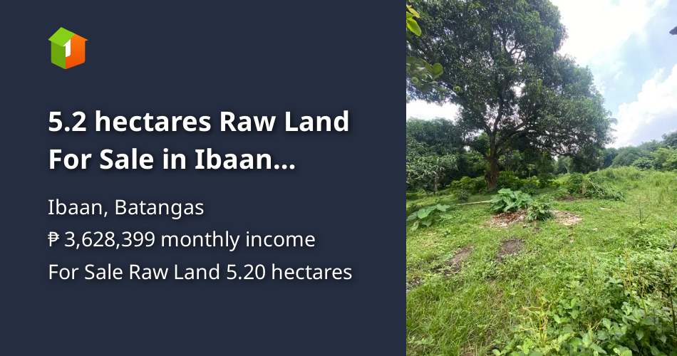 5.2 hectares Raw Land For Sale in Ibaan Batangas Cemented Municipal ...