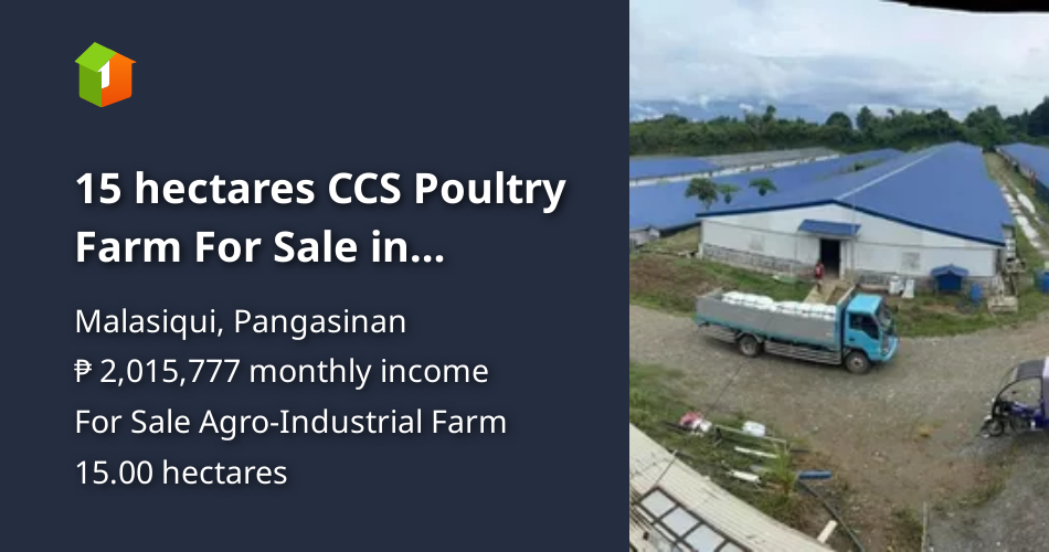 15 hectares CCS Poultry Farm For Sale in Malasiqui Pangasinan [Lots 🚜 ...
