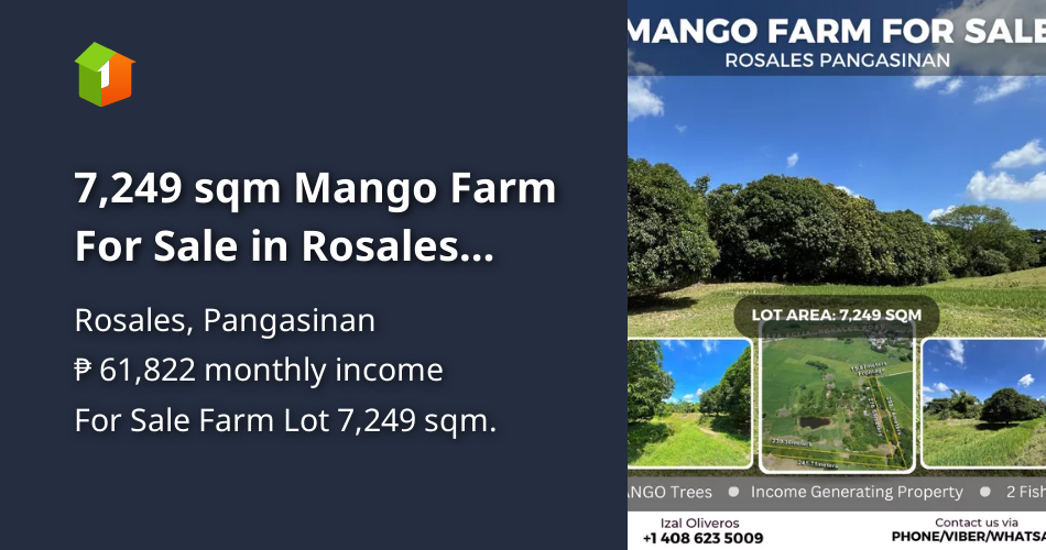 7,249 sqm Mango Farm For Sale in Rosales Pangasinan P550/sq.m [Lots 🚜 ...